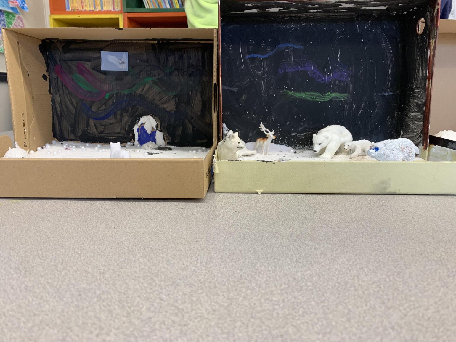 Ms. LeBlanc 3/4 Class Biome Boxes | Ecole Red Bluff Lhtako Elementary